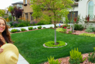 Lawn and Grass Seed for Ultra Low Maintenance Lawns Pearl's Premium